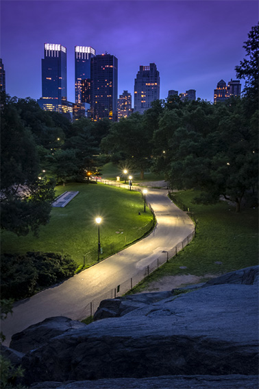 Afred Feliu law - employee termination disputes